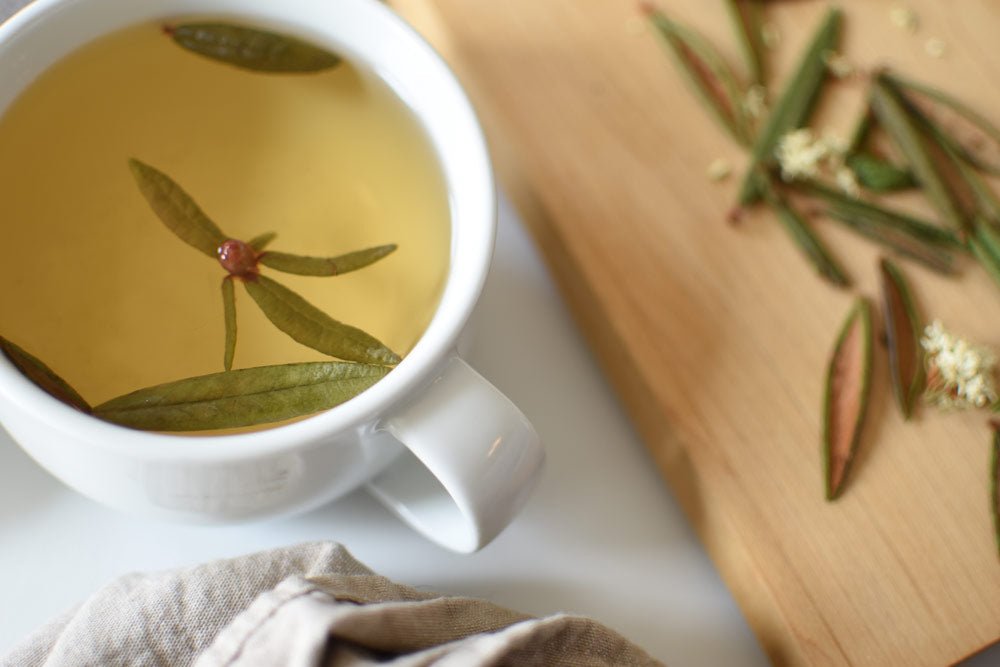 Blog - How to prepare Labrador tea? | Floem